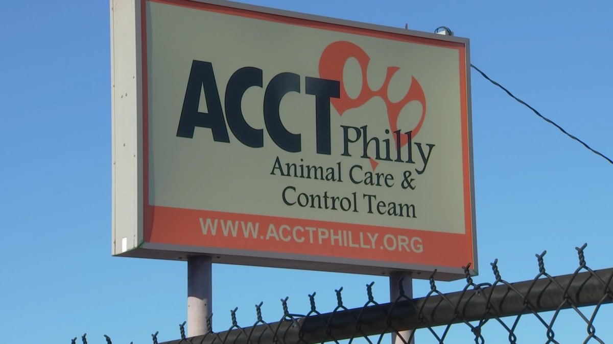 ACCT Philly busca desalojar animales debido a que están atestados ...