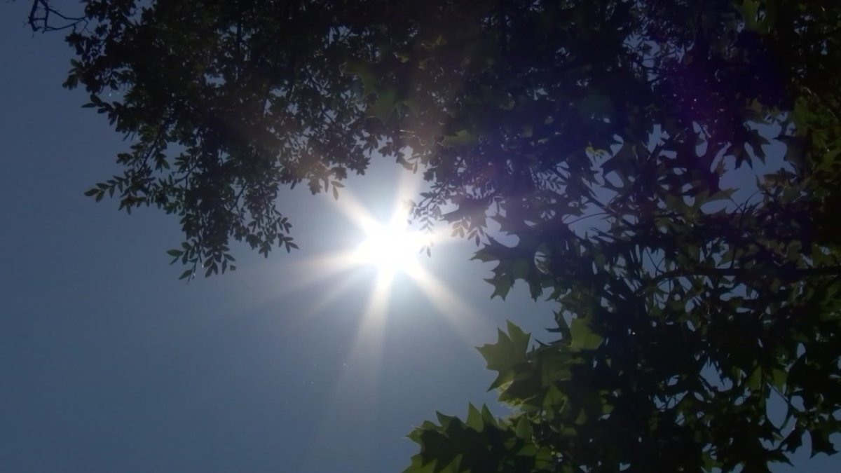 Emiten alerta de calor código rojo para Montgomery County – Telemundo 62
