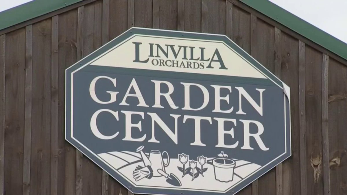 Linvilla Orchards – Telemundo 62