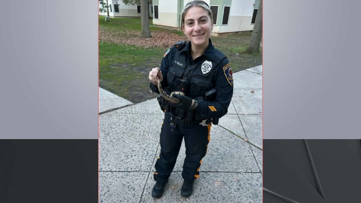Hallan serpiente dentro de dormitorio de Rutgers University en NJ ...