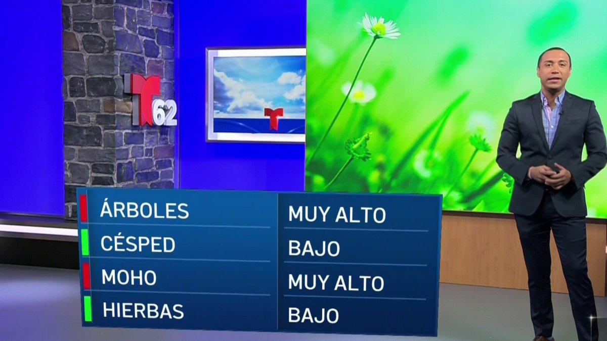 Llega temprano el polén; te decimos donde es más porminente – Telemundo 62