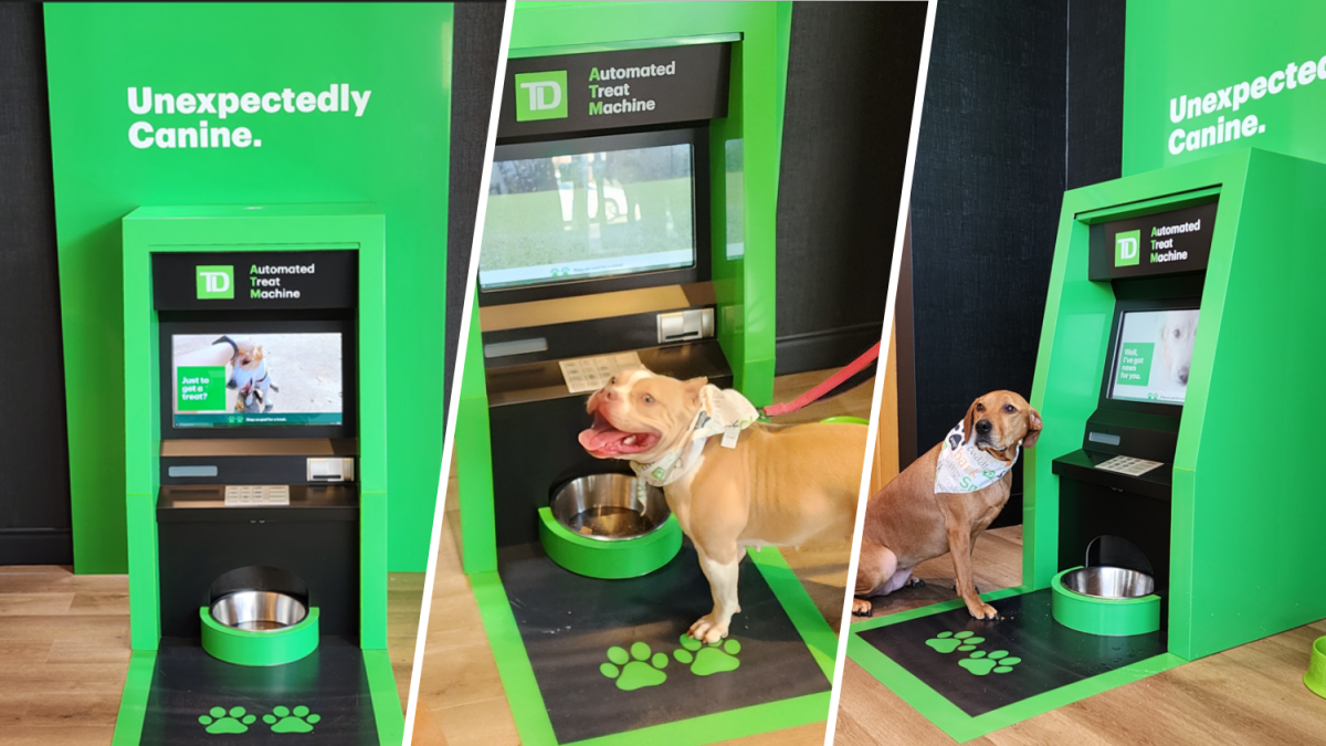 Un TD Bank de Filadelfia estrena primer ATM para perros – Telemundo 62