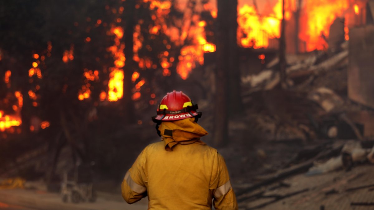 Especial incendios Eaton y Palisades un año después – Telemundo 62