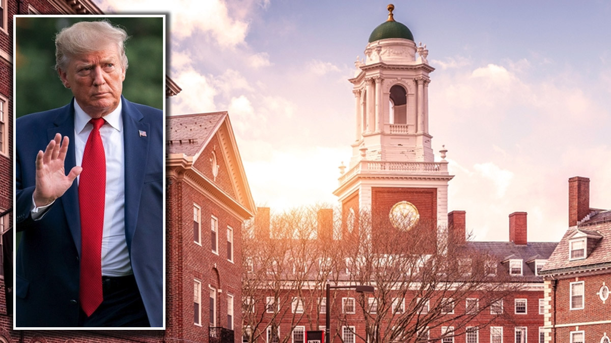 Trump da plazo clave a Universidad de Harvard – Telemundo 62