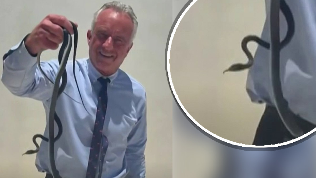 Robert Kennedy Jr. causa revuelo al atrapar con sus manos – Telemundo 62